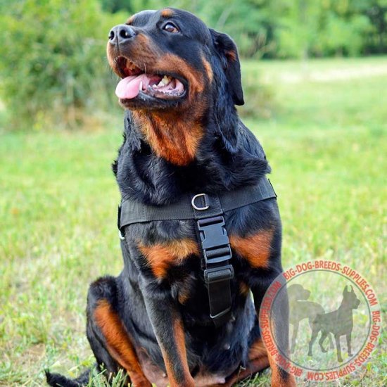Nylon Rottweiler Harness with Patches | Pulling Tracking | Dog Walking