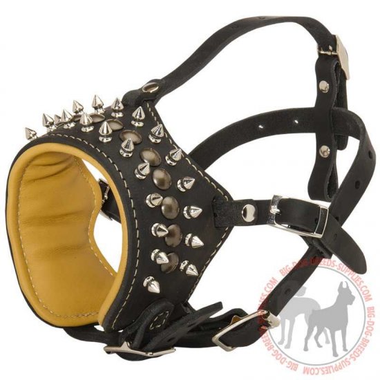 Get Anti-Barking Spiked Leather Muzzle | Dog Training Walking