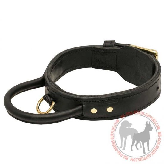 Purchase Leather Collar with Handle | Dog Training Walking