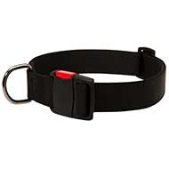 Buy Big Dog Collar | Leather Nylon Dog Collars | Training & Walking