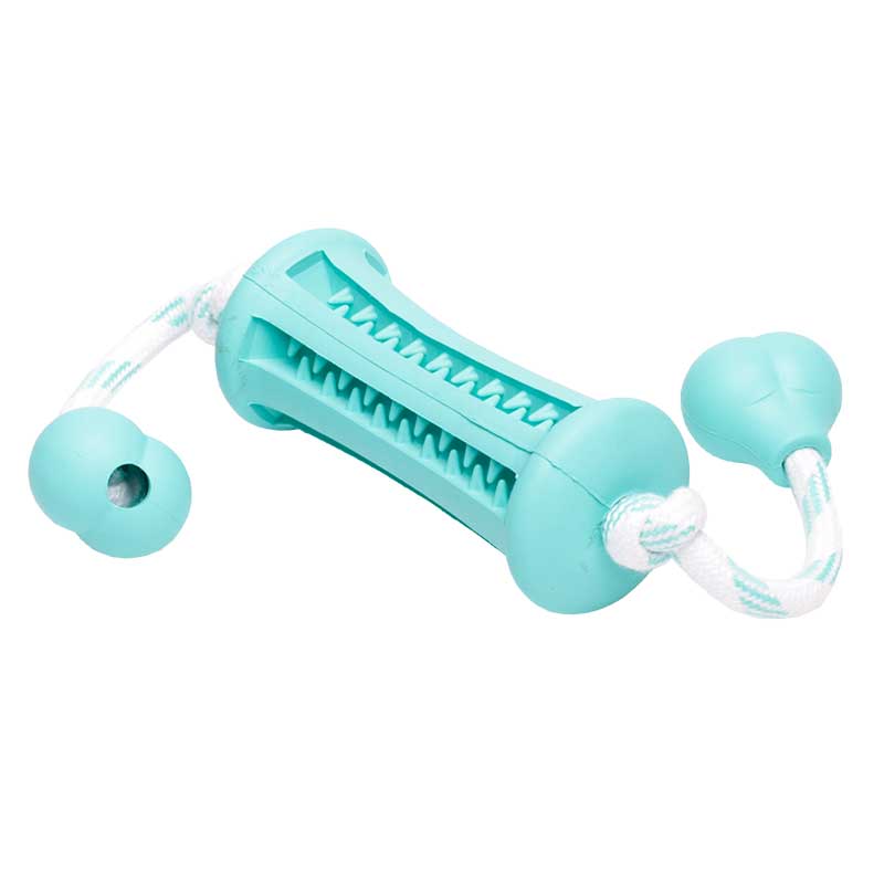 Green Training Dental Toy With Handles [TT1211105 Green Training Dental ...